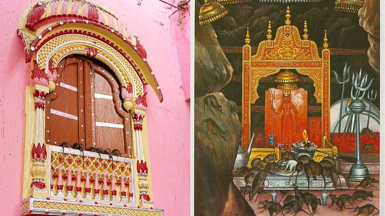 The Rat Temple Of Karni Mata Is One Of Rajasthan's Most Astonishing Sights