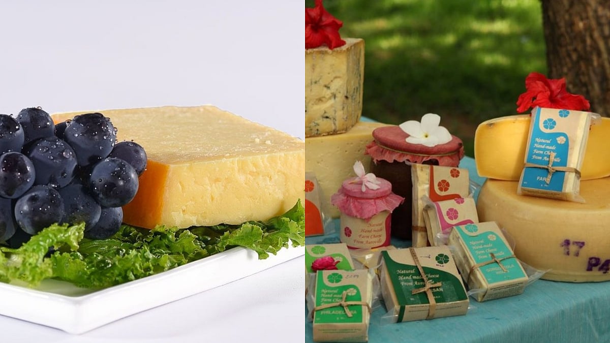 A Homegrown Guide To Artisanal Cheeses In India | Homegrown