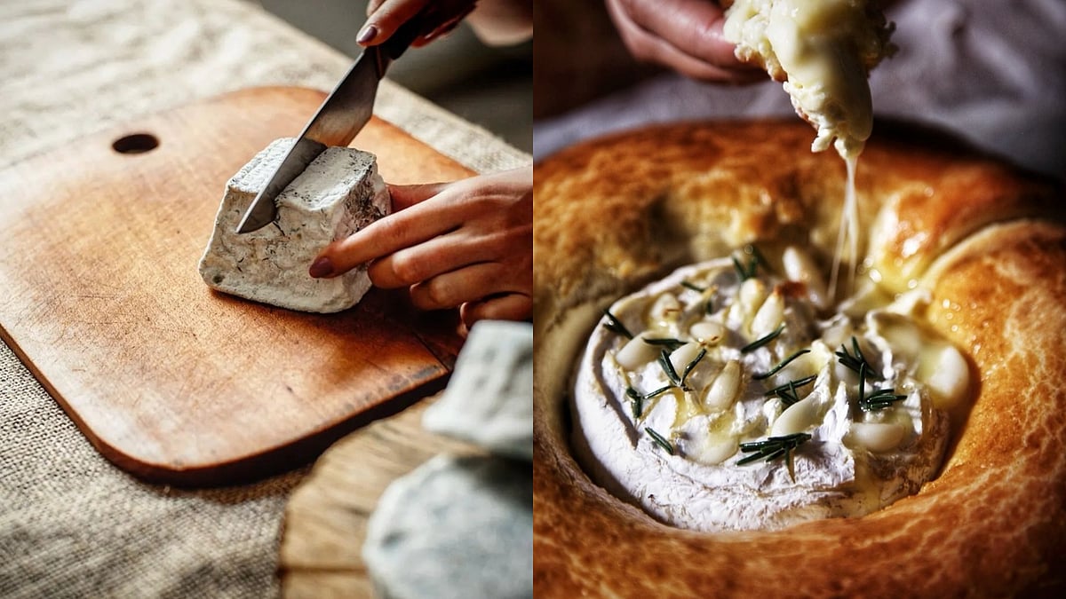 A Homegrown Guide To Artisanal Cheeses In India | Homegrown