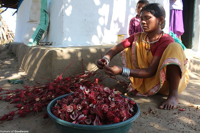 Lost Tastes of India: 10 Vanishing Indian Foods You’ve Probably Never ...