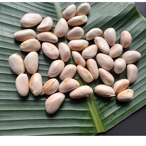 Lost Tastes of India: 10 Vanishing Indian Foods You’ve Probably Never ...