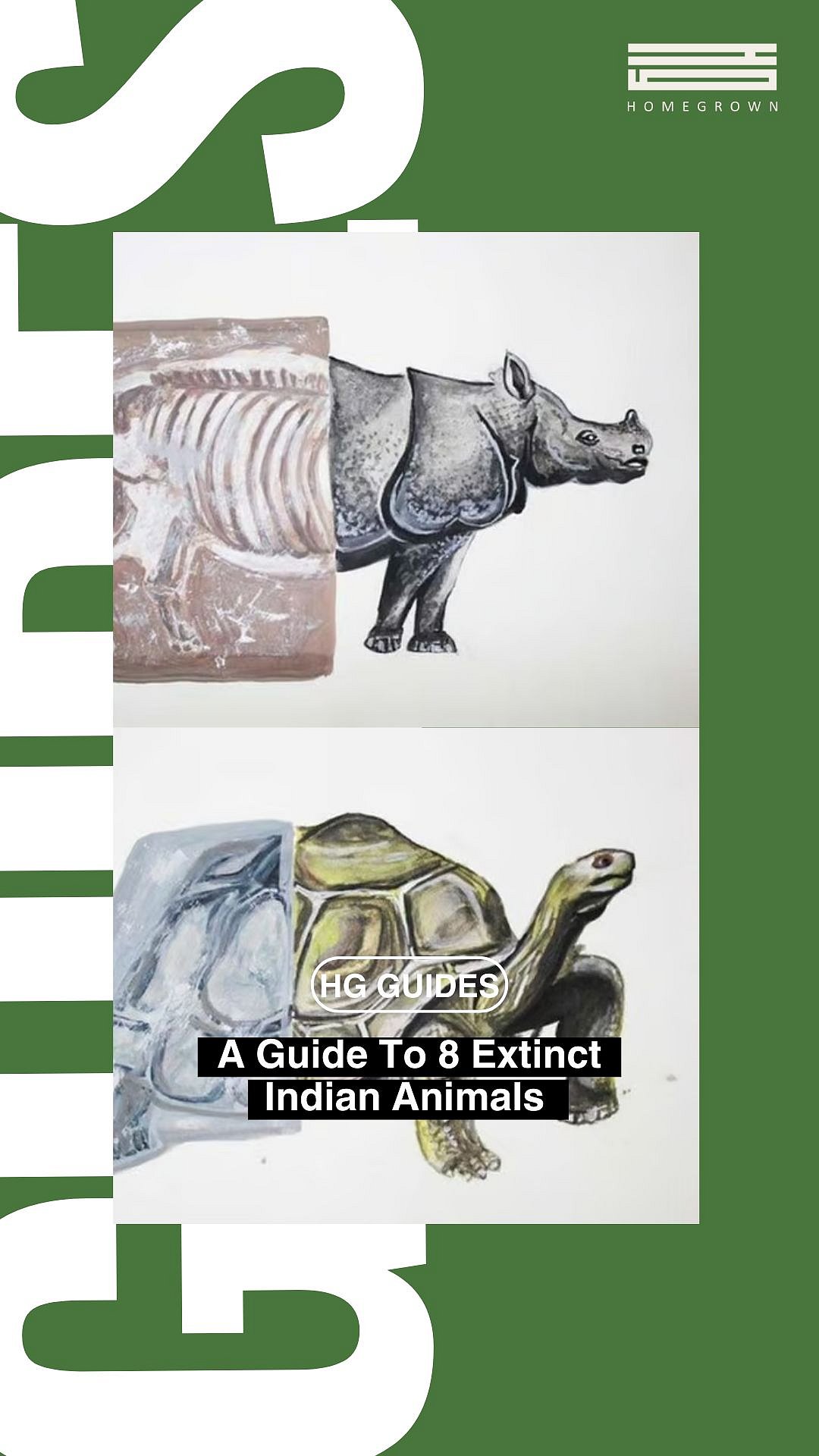 A Homegrown Guide To 8 Extinct Indian Animals| Homegrown