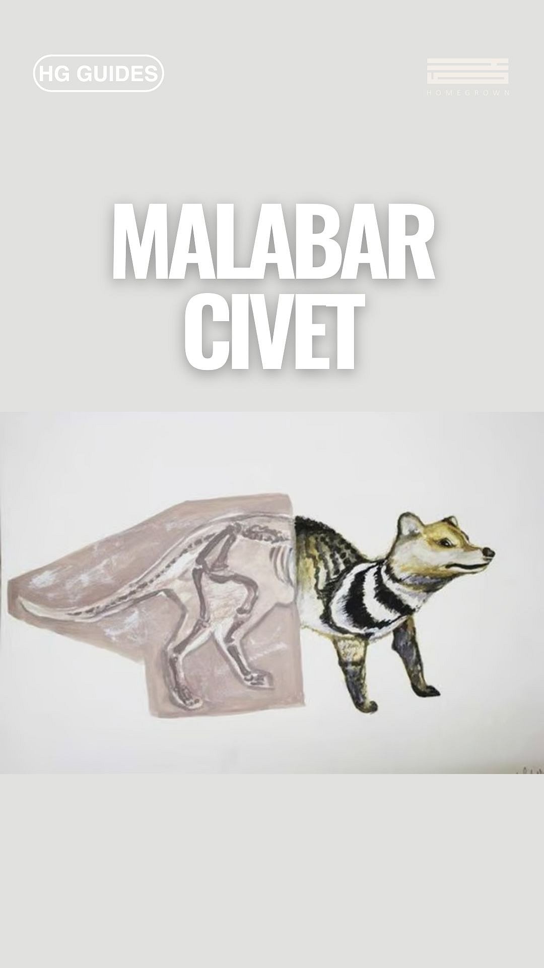 A Homegrown Guide To 8 Extinct Indian Animals| Homegrown