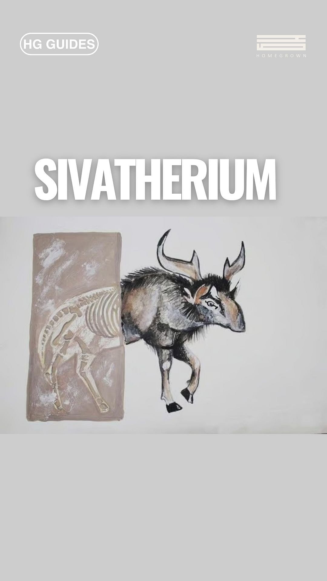 A Homegrown Guide To 8 Extinct Indian Animals| Homegrown