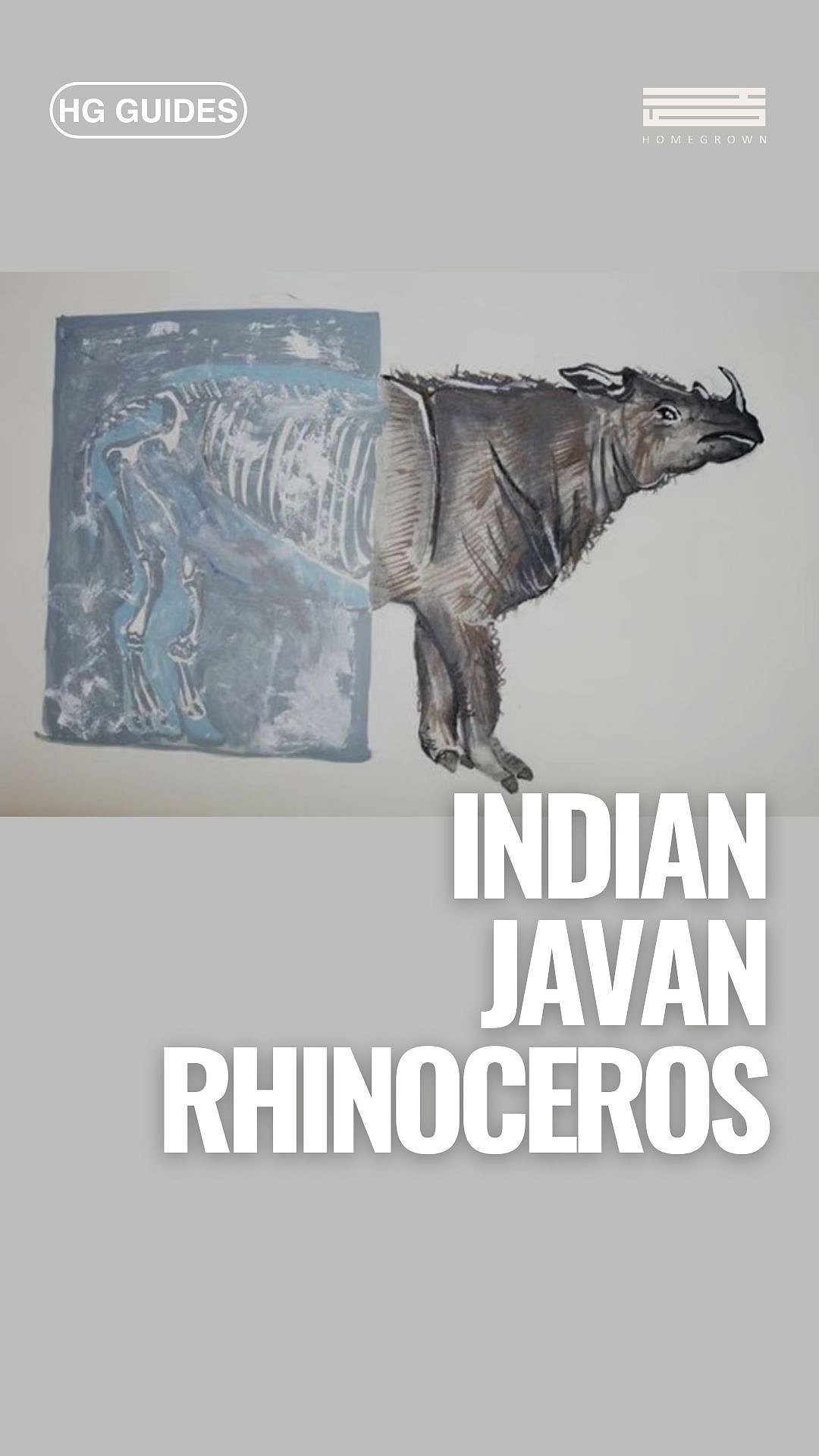 A Homegrown Guide To 8 Extinct Indian Animals| Homegrown