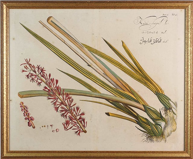 From Mughal Miniatures To Digital Illustrations: The Living Legacy Of ...