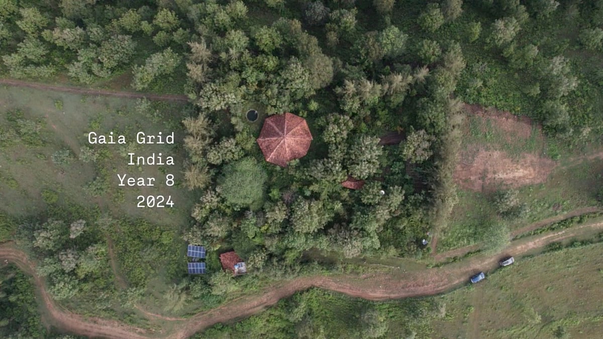 Gaia Grid: A Regenerative Homestead In Kerala Is Proof-Of-Concept For A ...