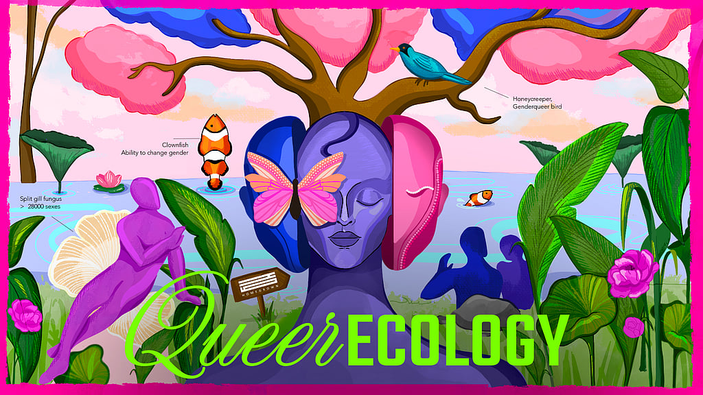 Queer Ecology: How Nature Dismantles The Notion Of Binaries | Homegrown