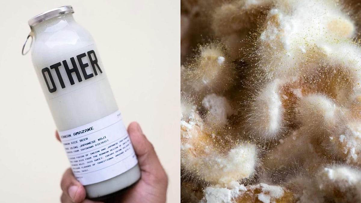 Goa Brewing Co.'s Konkan Amazake Is The First Sake-Like Fermented Rice ...