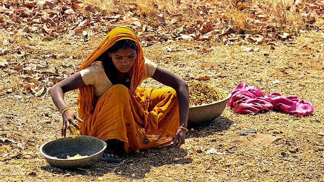 Mahua Liquor: The History & Revival Of India’s Forgotten Spirit