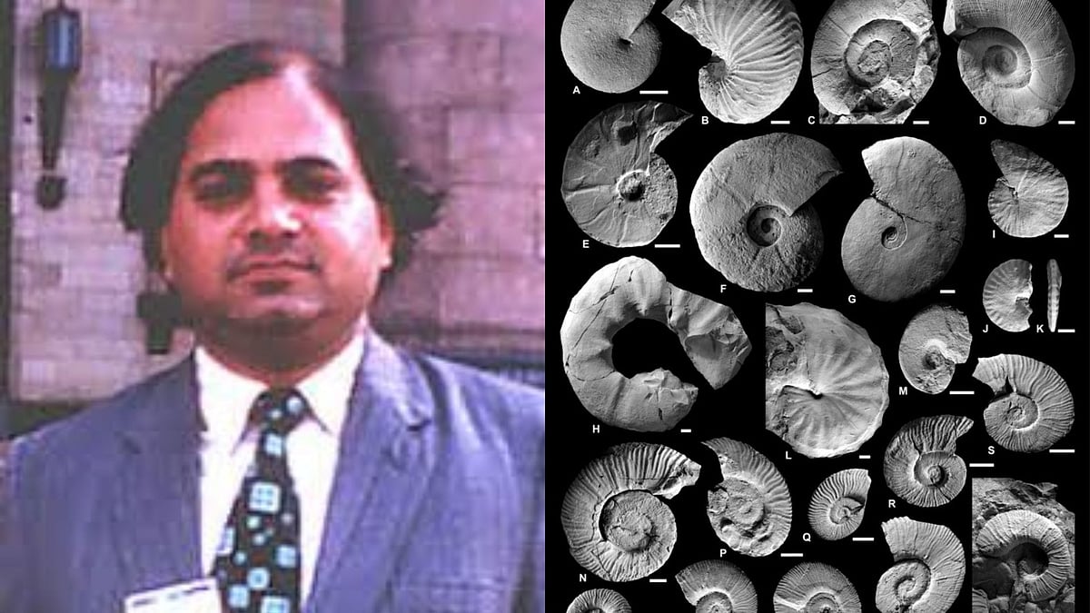 Vishwajit Gupta And The Himalayan Fossil Hoax: When An Indian ...