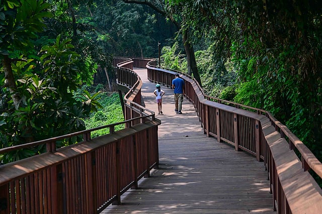 The Malabar Hill Elevated Walkway: Mumbai's First Tree-Top Nature Trail ...