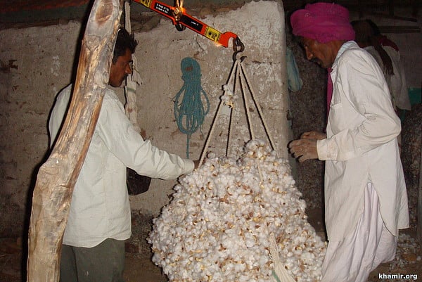 Kala Cotton: History, Heritage, And Revival Of The Indigenous Organic ...