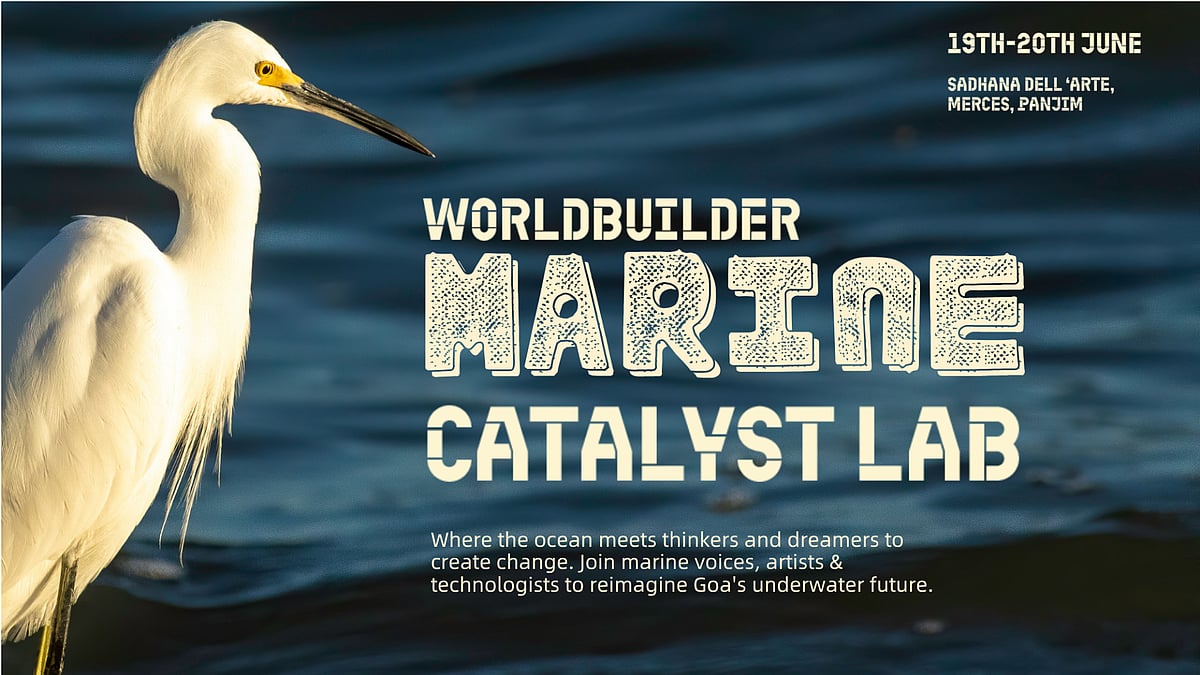 Worldbuilder Goa's Marine Catalyst Lab Connects Art and Ocean Conservation