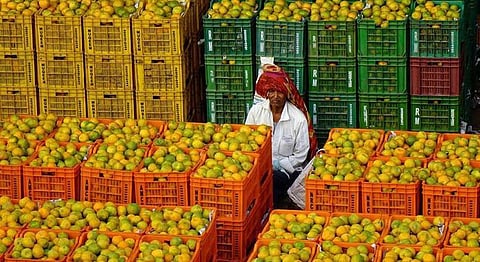 Haramzada, Gadha & Langra — 9 Rare Types of Mangoes In India ...