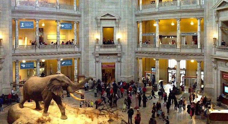 Virtual 360 Degree Tours & Online Exhibitions Of Indian Museums