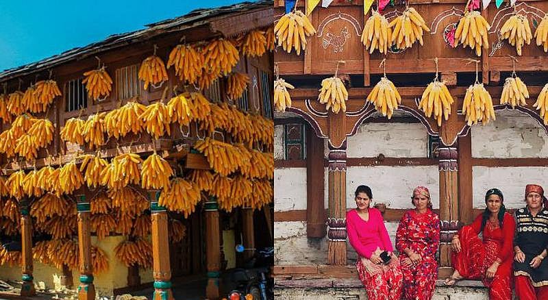 This Village Near Mussoorie Is Called The Corn Village | Homegrown India