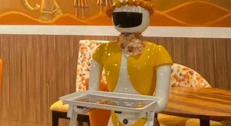 Visit Delhi NCR’s First Robot Restaurant The Yellow House With ...