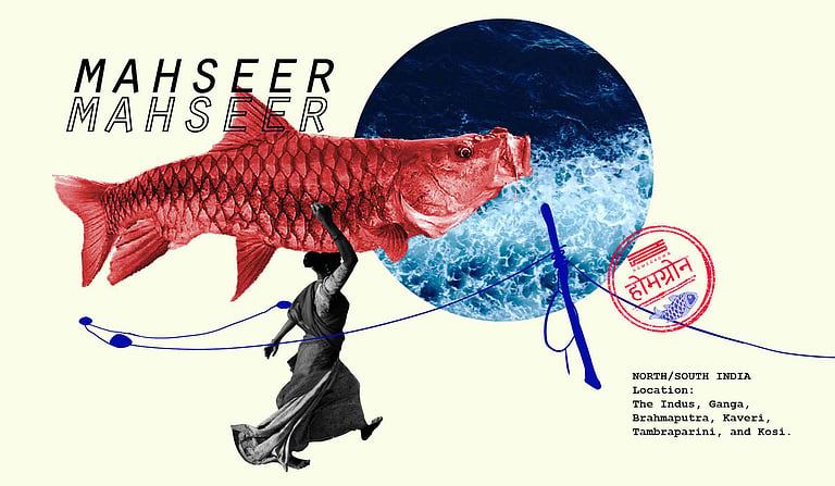 9 Fishes You Can Find In The Indian Ecosystem | Homegrown