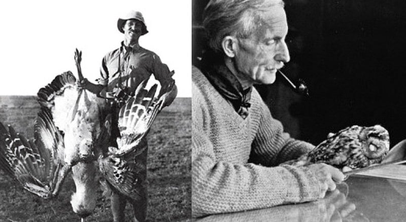 How An Elite British Man's Fraud Changed The History Of Indian Ornithology | Homegrown India