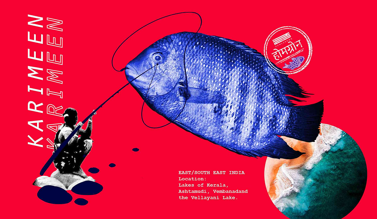9 Fishes You Can Find In The Indian Ecosystem | Homegrown