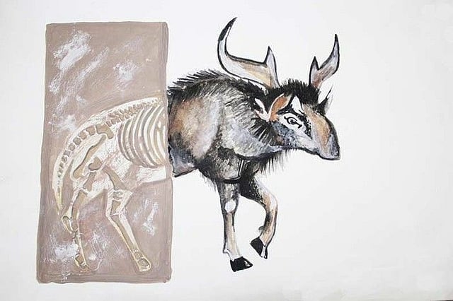 Illustrations of 8 extinct animals of India | Homegrown India