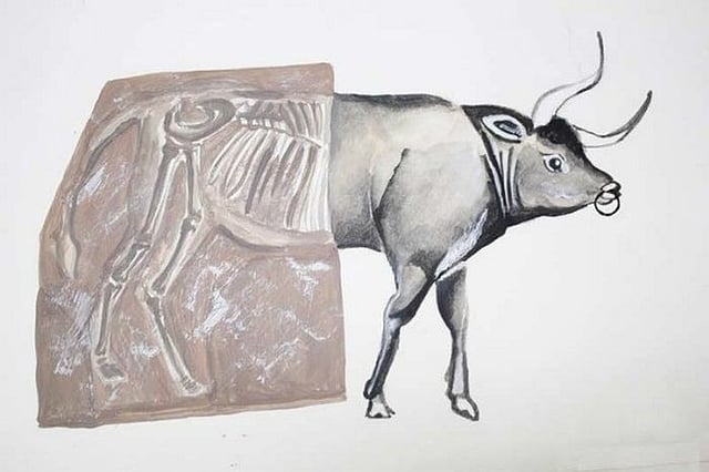 Illustrations of 8 extinct animals of India | Homegrown India