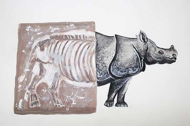 Illustrations of 8 extinct animals of India | Homegrown India