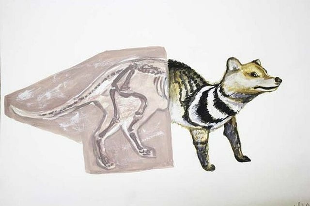 Illustrations of 8 extinct animals of India | Homegrown India