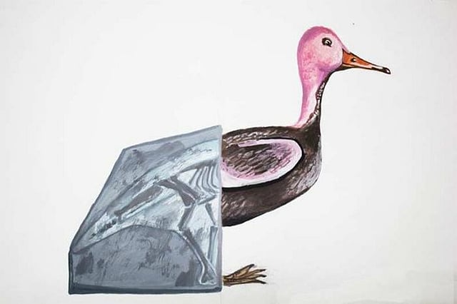 Illustrations of 8 extinct animals of India | Homegrown India