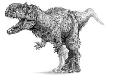 The 15 Types Of Dinosaurs That Used To Roam India | Homegrown India