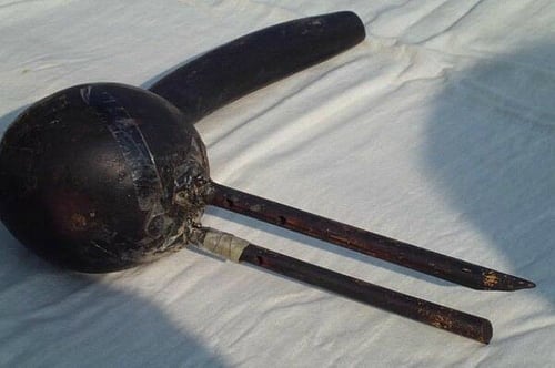 6 Indian Musical Instruments On The Verge Of Extinction