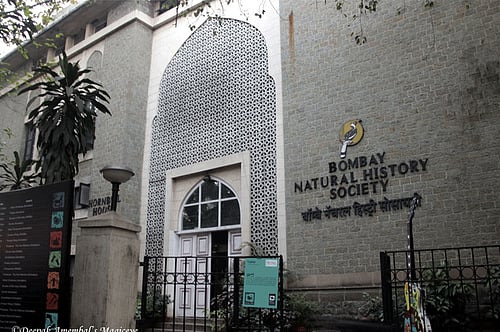 A Book-Lover's Guide To Mumbai – The Best Libraries, Bookstores, Clubs ...