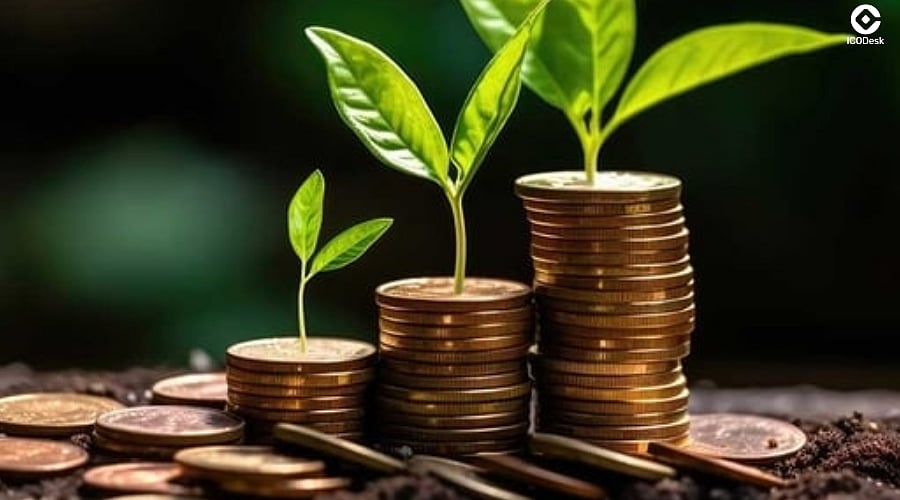 Beginner’s Guide to Mutual Funds: Building Wealth Through SIPs