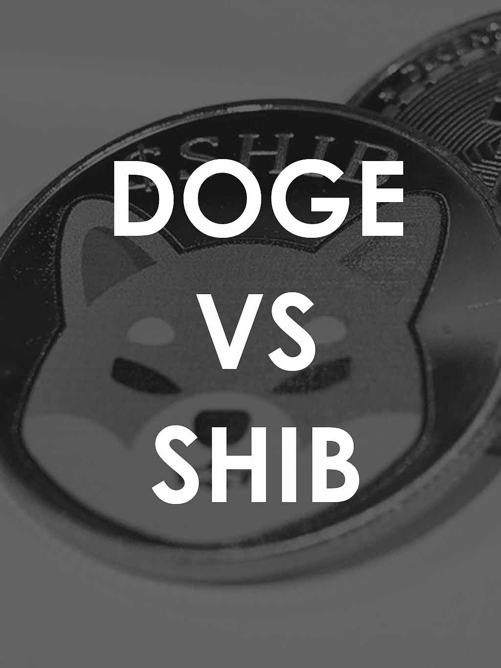 DOGE vs. SHIB: Decoding 2024's Meme coin Profitability