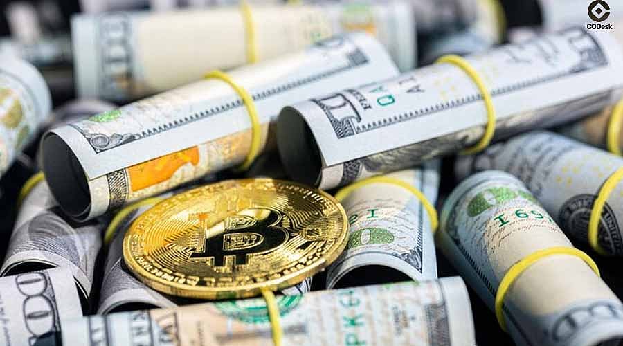 Top Crypto Index Funds to Invest in 2024