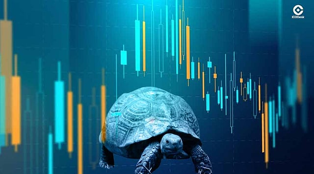 What is Turtle Trading?