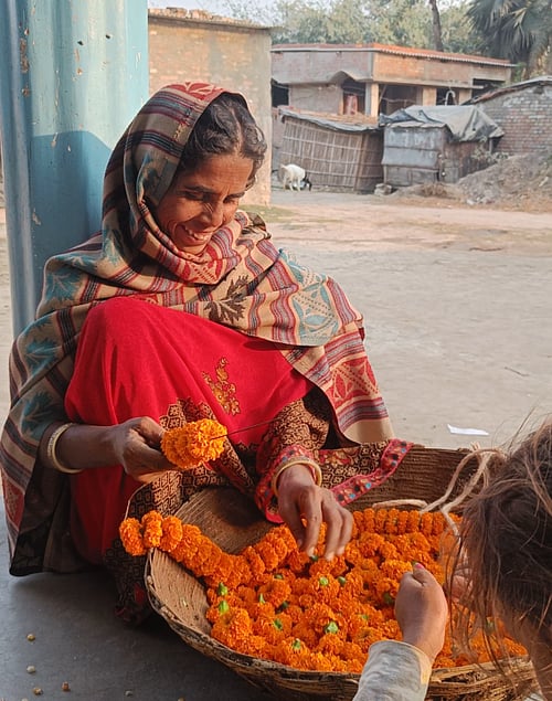 Floriculture in Bihar: How Marigolds Are Changing Rural Livelihoods.