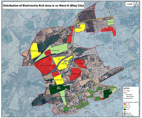 Trees of Bhuj: Big data for a greener, smarter city