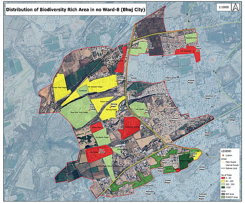 Trees of Bhuj: Big data for a greener, smarter city