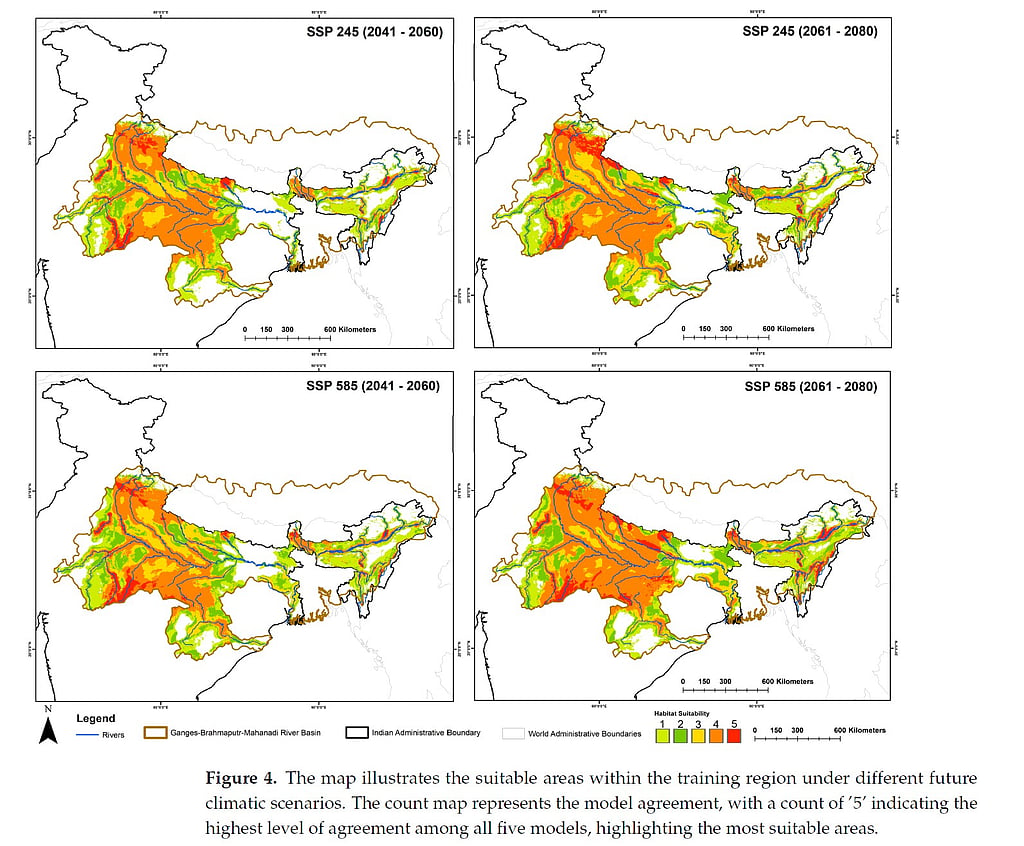 River Guardians: Indian Gharial's Fight for Survival in Changing Climates