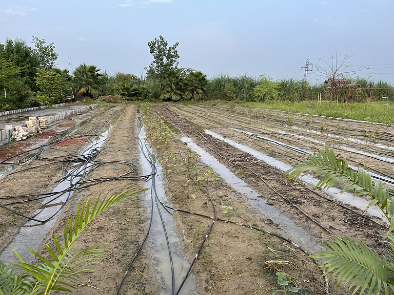 Agricultural erosion: Waterlogging and salinity impacting Haryana's farms