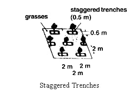 Techniques to slow runoff and erosion from steeply sloping land