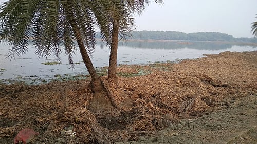 Protecting Surajpur wetland