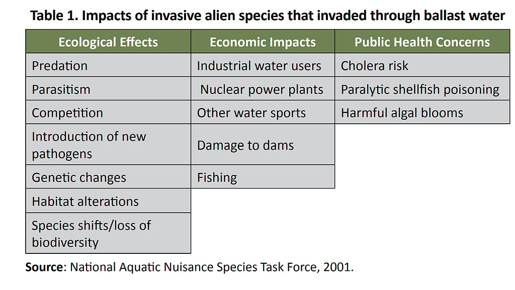 Indian coasts and the threat of invasive species