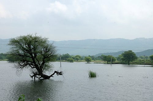 Rooftop Rainwater Harvesting in Rajasthan: Reviving Ancient Water Heritage