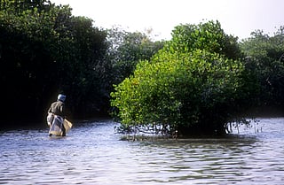 Cauvery basin: its culture, places of historical significance, birth place, climate ...