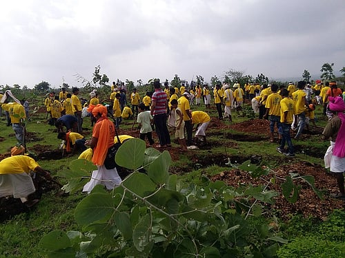 Grassroots implementation of Halma