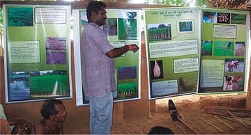 Farmers groups conserve traditional rice varieties in Bastar region of ...