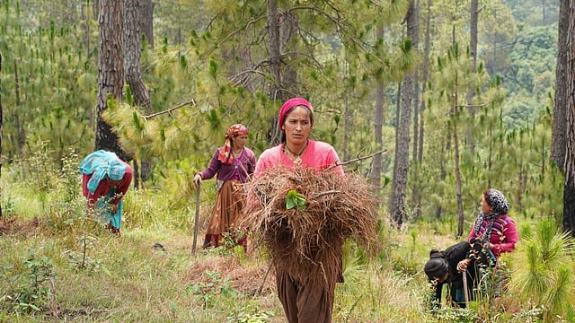 Celebrating the role of hill women in springshed development and governance